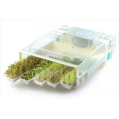 The EasyGreen Sprouter – The Easy Automatic Sprouter | Seeds for ...