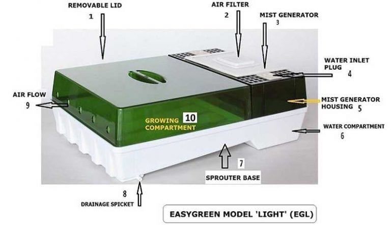 Easygreen Sprouter | Seeds for Sprouting for the Home Sprout Grower